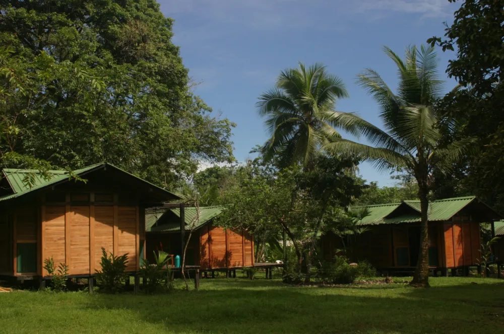 Parque Nacional Ensenada de Utría, la joya turística del del pacífico ...